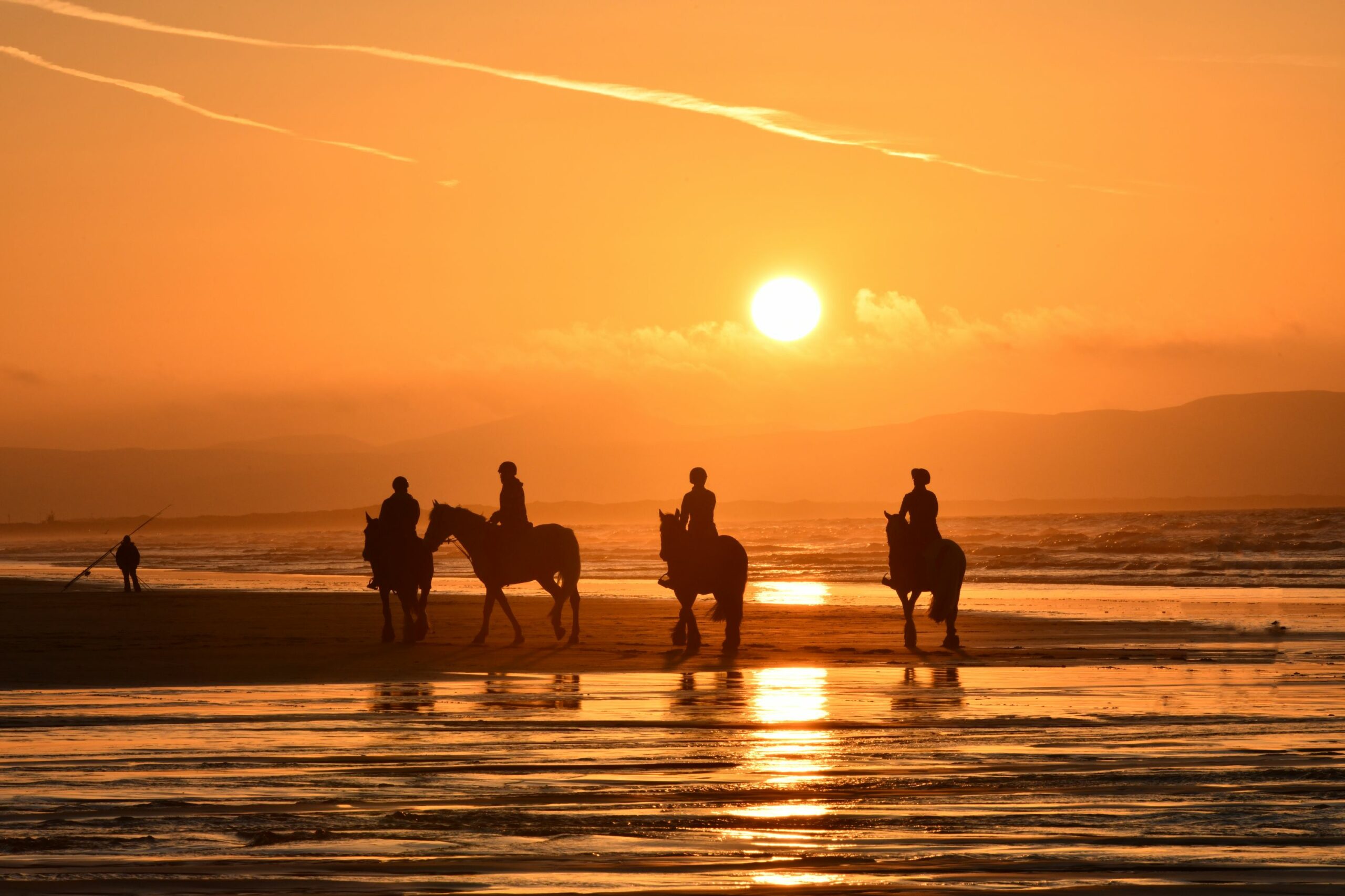 Beach Rides Crindle Stables